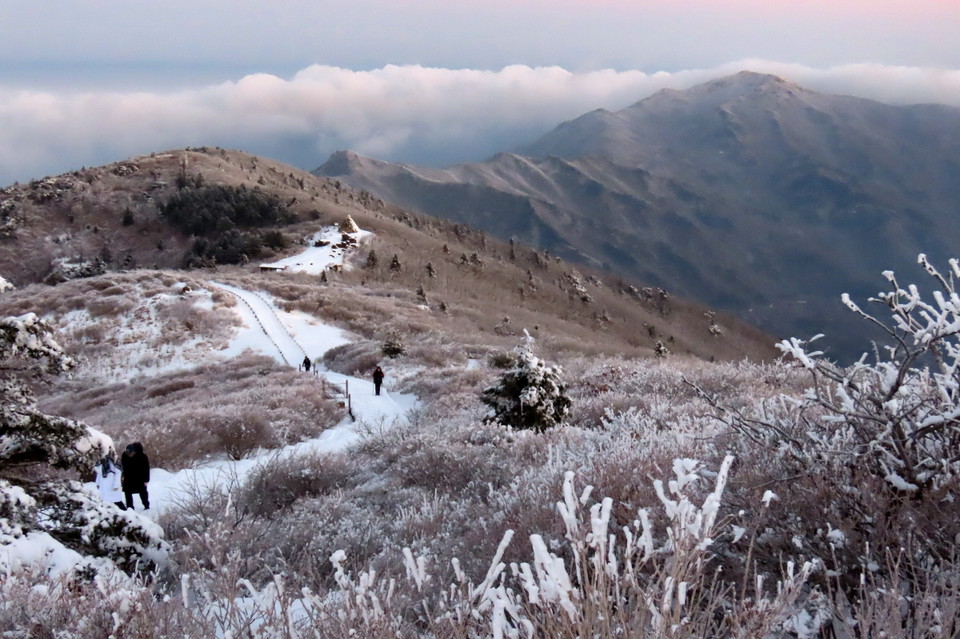[포토in] 갑진년 첫날,겨울왕국 '지리산 노고단' 해맞이
